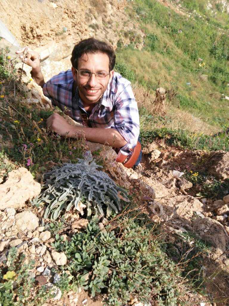 How to protect plant species of conservation interest in cities ...